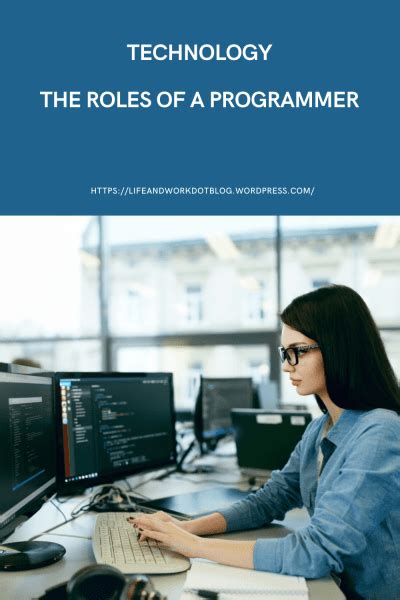 Technology The Roles Of A Programmer