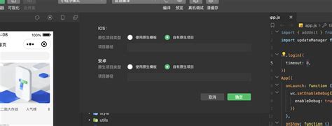 自有原生项目接入
