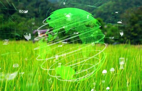 Bis Hkma To Explore Tokenizing Green Bonds Including Public Blockchain Ledger Insights