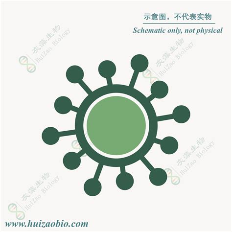 甲型流感病毒（2009h1n1）核酸参考品（热灭活）（强阳性） Hzb371492 Vh 产品详情 灰藻生物