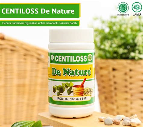 Obat Stroke Paling Ampuh Herbal Struk Ringan Setruk Berat Obat