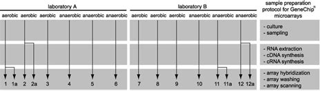 Experimental Design For Assessing Reproducibility Of Download