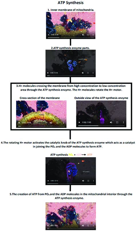 The Arrangement Of The Overview Representations Hybrid Representation