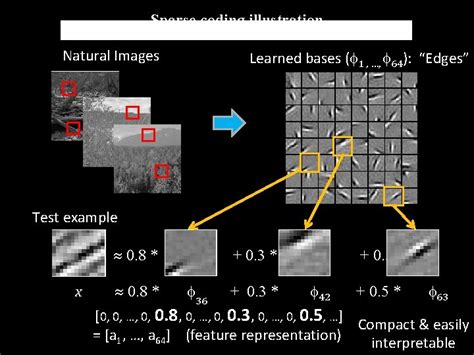 Image Classification By Sparse Coding Andrew Ng Feature