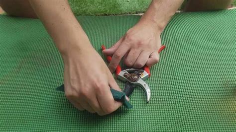 How To Remove Rust From Tools In Easy Steps