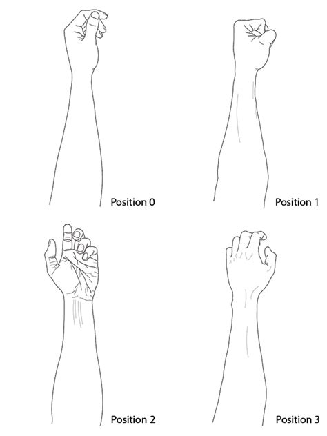 Emg Multiclass Classification For Forearm — Openbci Forum