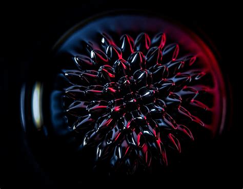 Ising Model Metropolis Sampling And Genetic Algorithms Nicolas Chagnet