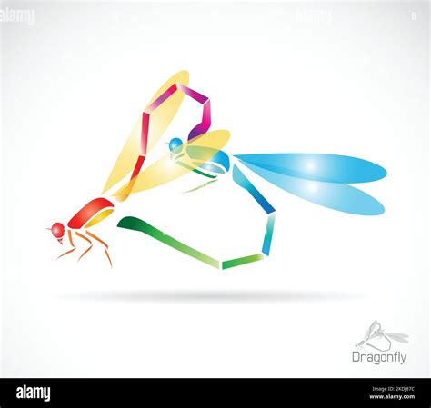 Two Colorful Dragonfly Breeding On A White Background Easy Editable Layered Vector Illustration
