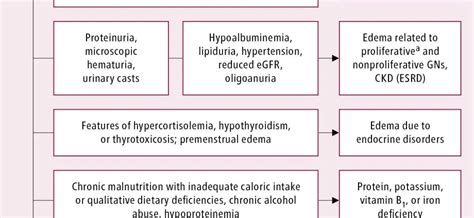 Edema Of Renal Origin Types Diagnosis Treatment Healthy Food Near Me