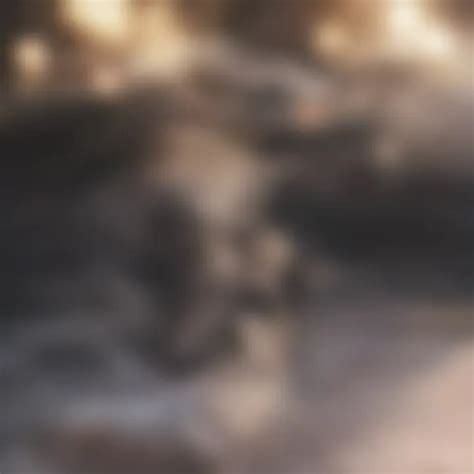 Understanding Microcalcifications A Detailed Exploration