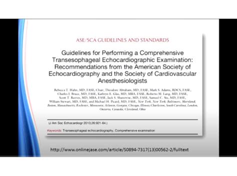 Guidelines For Performing A Comprehensive Transesophageal Echocardiographic Examination Perfusfind