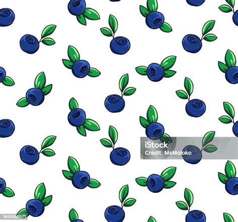 흰색 배경에 블루베리가 있는 매끄러운 패턴 벡터 그림입니다 건강한 식생활에 대한 스톡 벡터 아트 및 기타 이미지 건강한