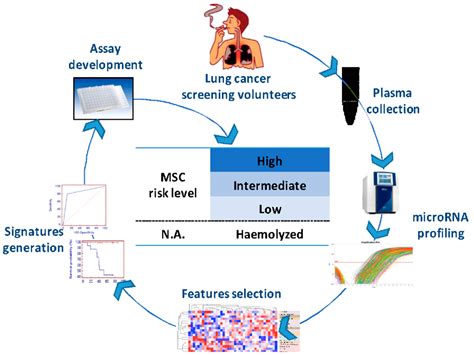 Cancers Free Full Text Machine Learning Using Real World And Translational Data To Improve