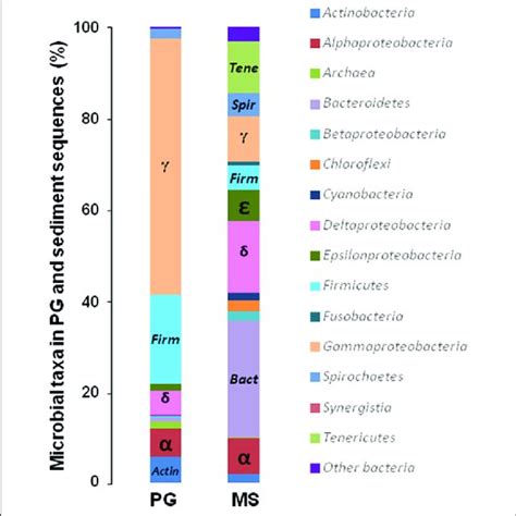 Compositions Of Microbial Communities In The Coastal Marine Sediment Download Scientific