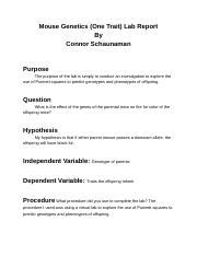 Mouse Genetics One Trait Lab Report Docx Mouse Genetics One Trait Lab Report By Connor