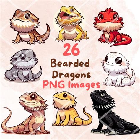 How To Draw A Cartoon Bearded Dragon