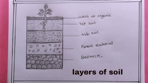 Soil Profile Diagram For School