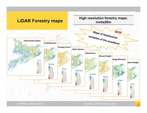 Forestry Applications Using Lidar Pdf Cloud Computing Internet