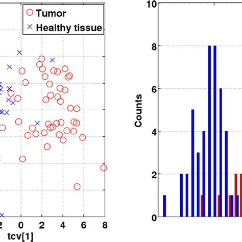 Left Score Plot For The Opls Da Model Of Tumor Red Circles Versus