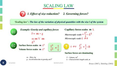 Microfluidics Applications In Food Processing Pptx