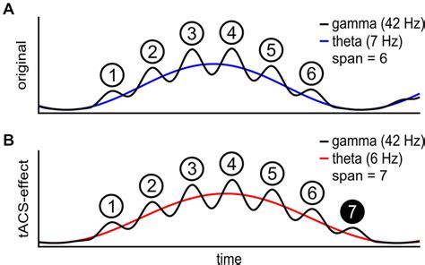 Schematic Of The Theta Gamma Coding Theory A The Individual Theta Download Scientific