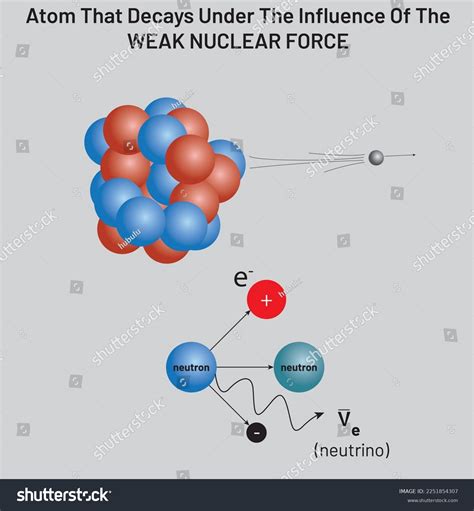 Weak Force