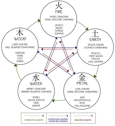 The 5 Element Diagram Of Cycles Organs And Associations