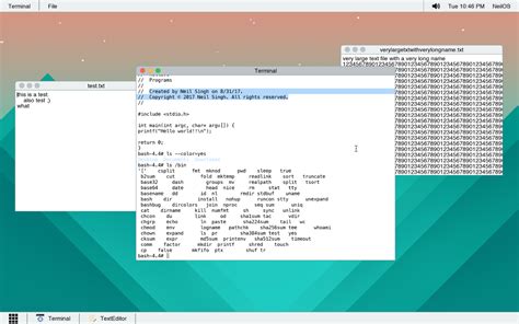 what does your os look like screen shots page 230