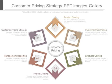 Customer Pricing Strategy Ppt Images Gallery PowerPoint Slide Templates Download PPT