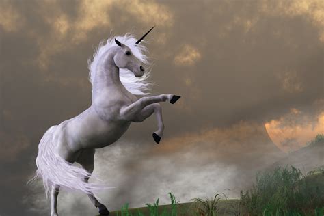 Unicorn Coloring Pages Printable