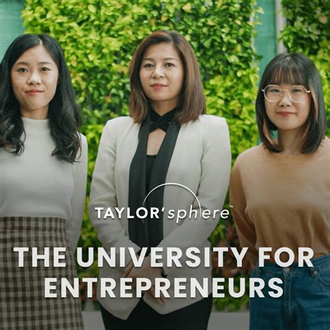 关于我们 泰莱大学