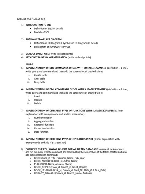 Format For Ism Lab File Pdf Data Model Computer Data