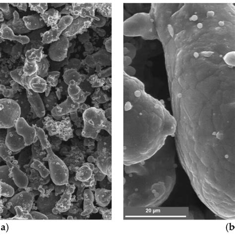 Microstructure Of Composites Synthesized With Ni Catalyst A And Co