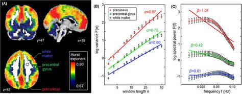 representative hurst exponent h scaling plots for selected brain