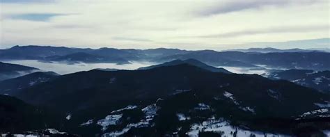 Teida Imamovic On Linkedin Alexandra Pauliat Fatih Kibar