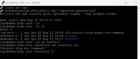 Oracle Cloud Infrastructure Full Stack Disaster Recovery에서 실행 명령을 사용하여 커스텀 스크립트 호출