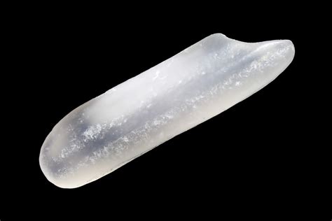 Extracting Contents Inside Of Found Boundary Python Opencv Stack