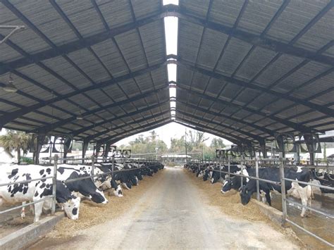 ahmad fraz on linkedin ruminant nutrition short summaries part 1