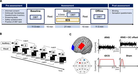 differing effectiveness of transcranial random noise stimulation and