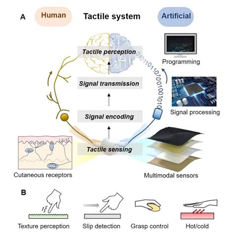 Arduino On Linkedin Real Time Multimodal Tactile Detection System Applicable To Robots And