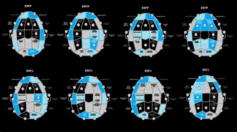Dario Nardi Brain Scan Mbti Our Human Minds