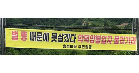 시골 살며 별일 다 겪어봤지만 벌똥 테러는 처음