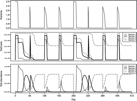 Example Model Dynamics After Convergence To The Periodic Attractor In Download Scientific
