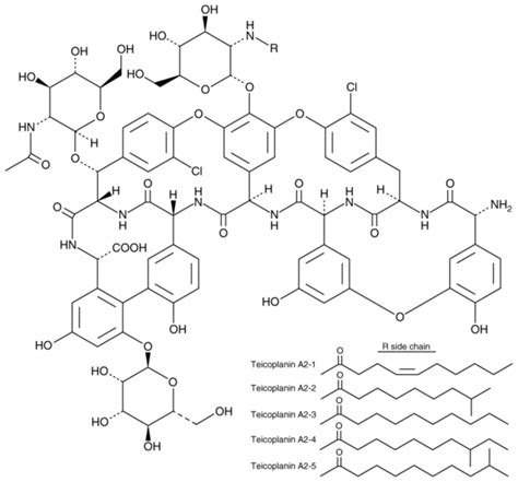 Teicoplanin Complex Cas 61036 62 2 Cayman Chemical