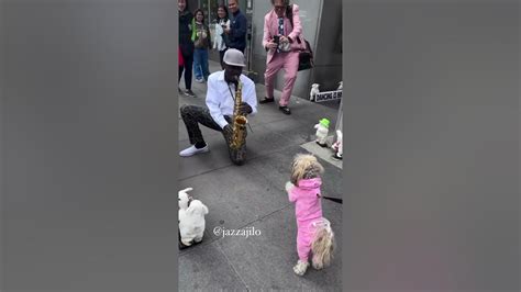 زندگی خیلی کوتاست شاد باشیدرقصشادی لطیفه باحال حامی حیوانات