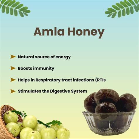 Buy Infused Amla Soaked Dipped Honey In Online 500g