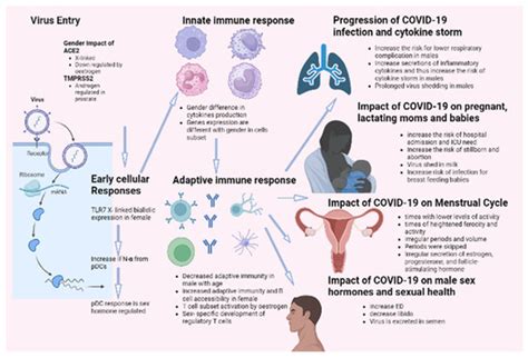 Gender Differences In Response To Covid 19 Infection And Vaccination