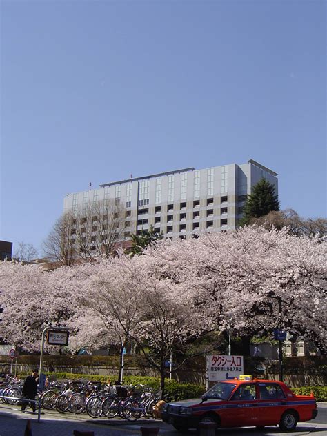 一般社団法人 治療家の學校 ★☆★☆★☆★☆★☆ 【募集スタート！】 実際に触れて・押して・使える 膝・股関節痛トリガーセラピー講座 48 割引は今だけ！ 30名限定のご案内