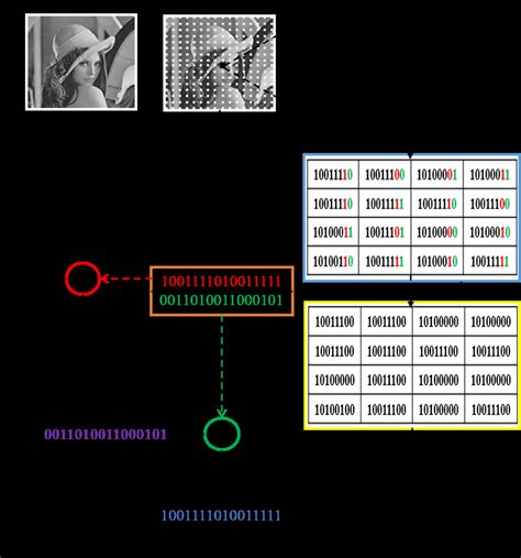 the proposed fragile watermark extraction the green arrow corresponds