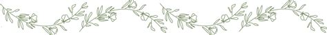 Download Intricate Floral Vine Line Drawing Borders And Corners Online